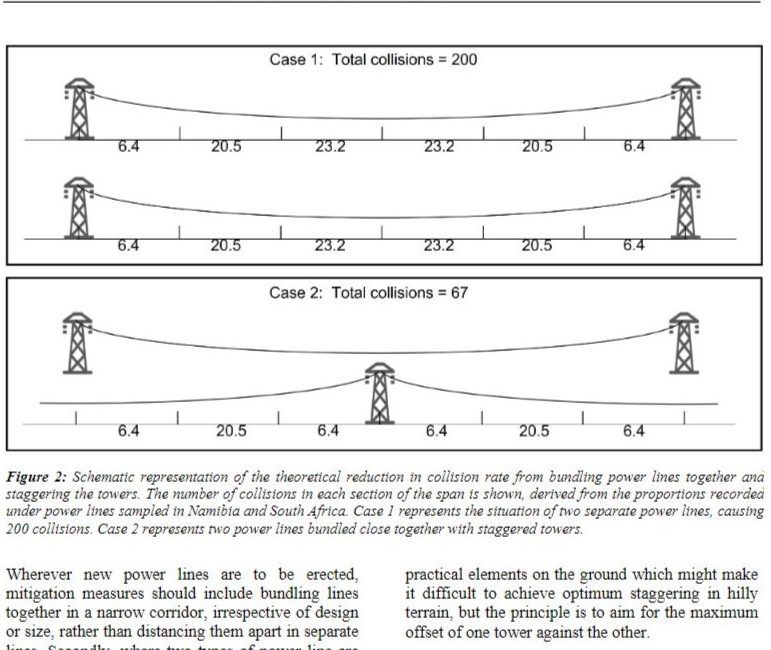 Staggered towers on parallel transmission lines: a new mitigation to ...